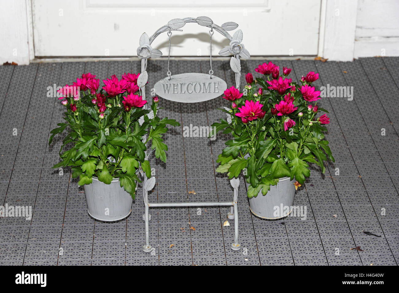 Welcome flowers hi-res stock photography and images - Alamy