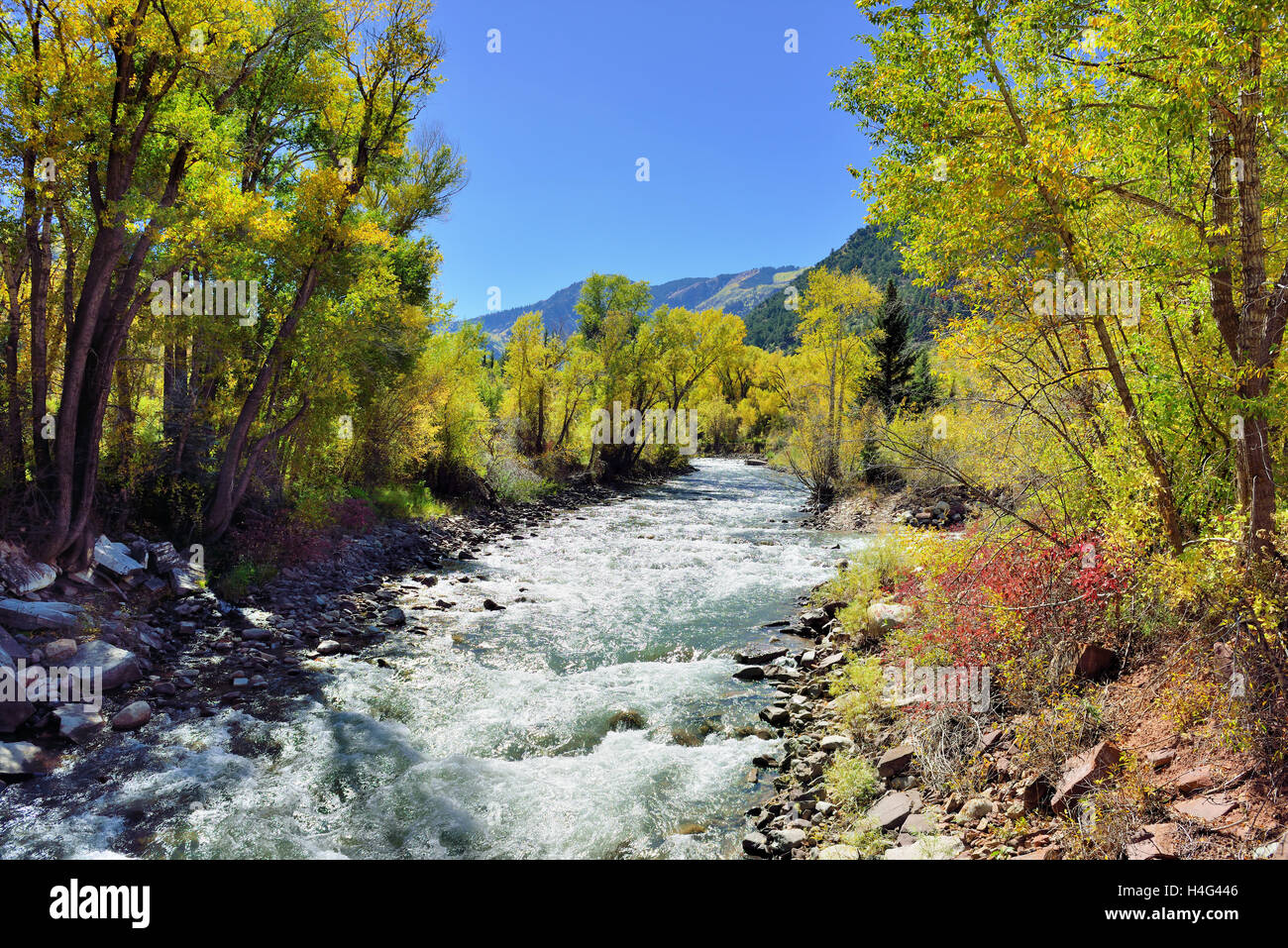 Aspen vista trail hi-res stock photography and images - Alamy