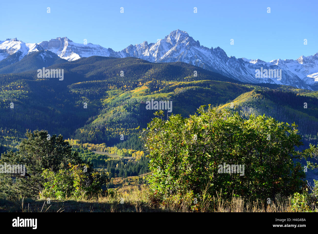 Alpine scenery of Colorado during foliage season Stock Photo - Alamy