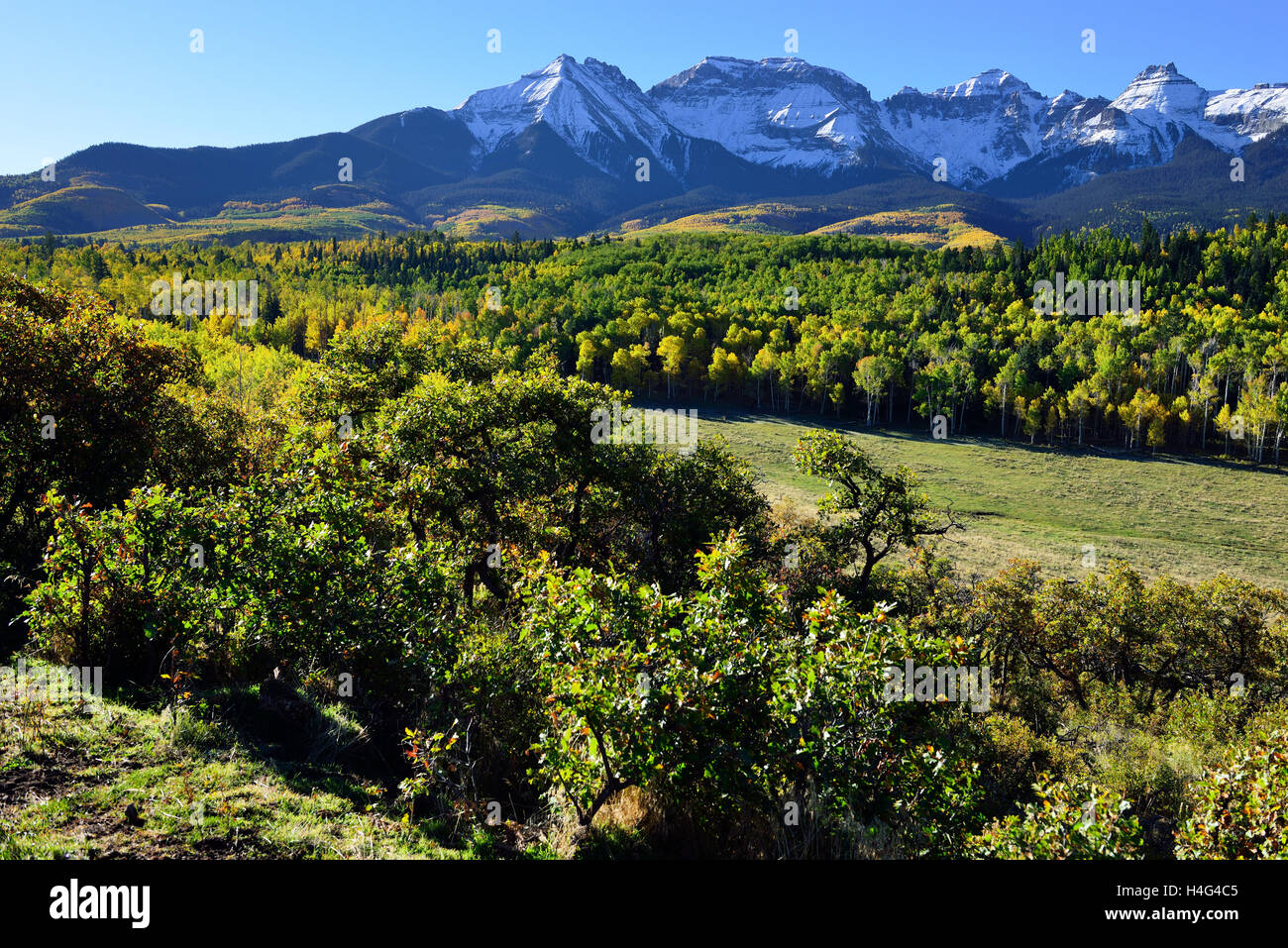 Alpine scenery of Colorado during foliage season Stock Photo - Alamy