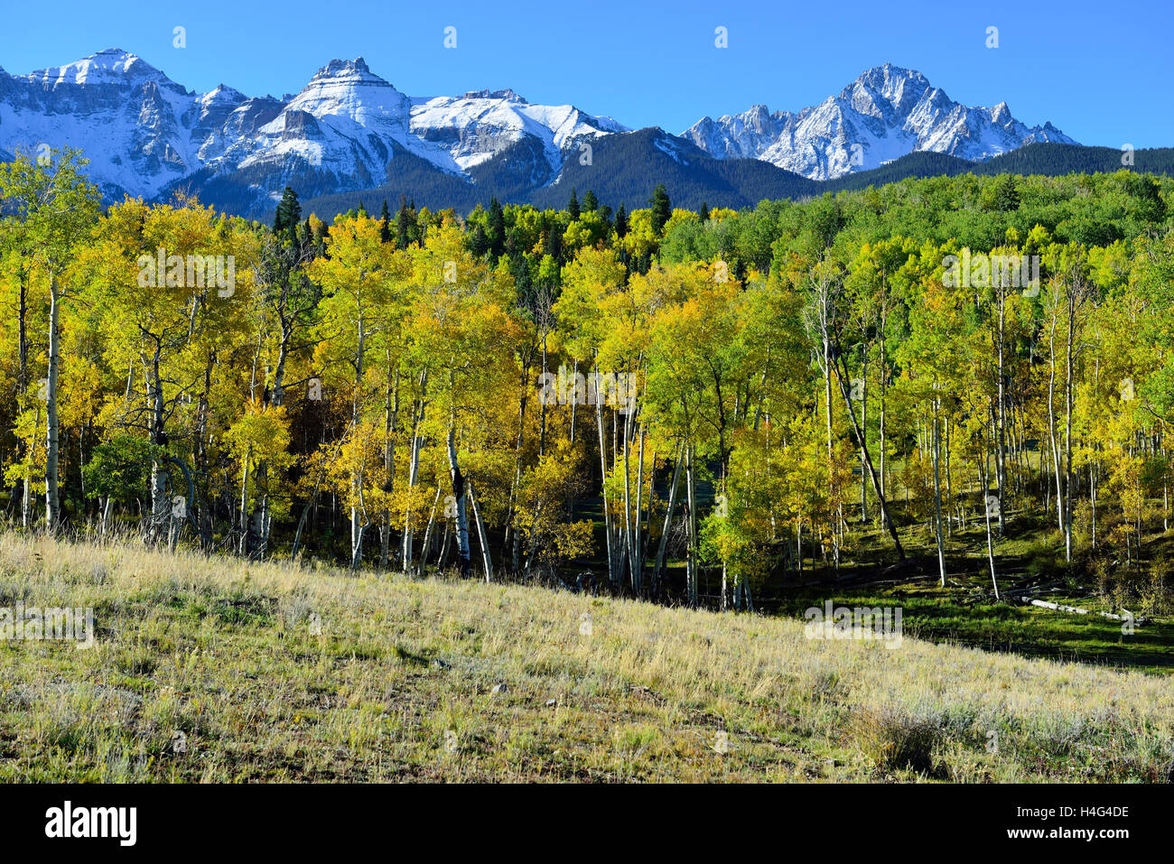 Alpine scenery of Colorado during foliage season Stock Photo - Alamy