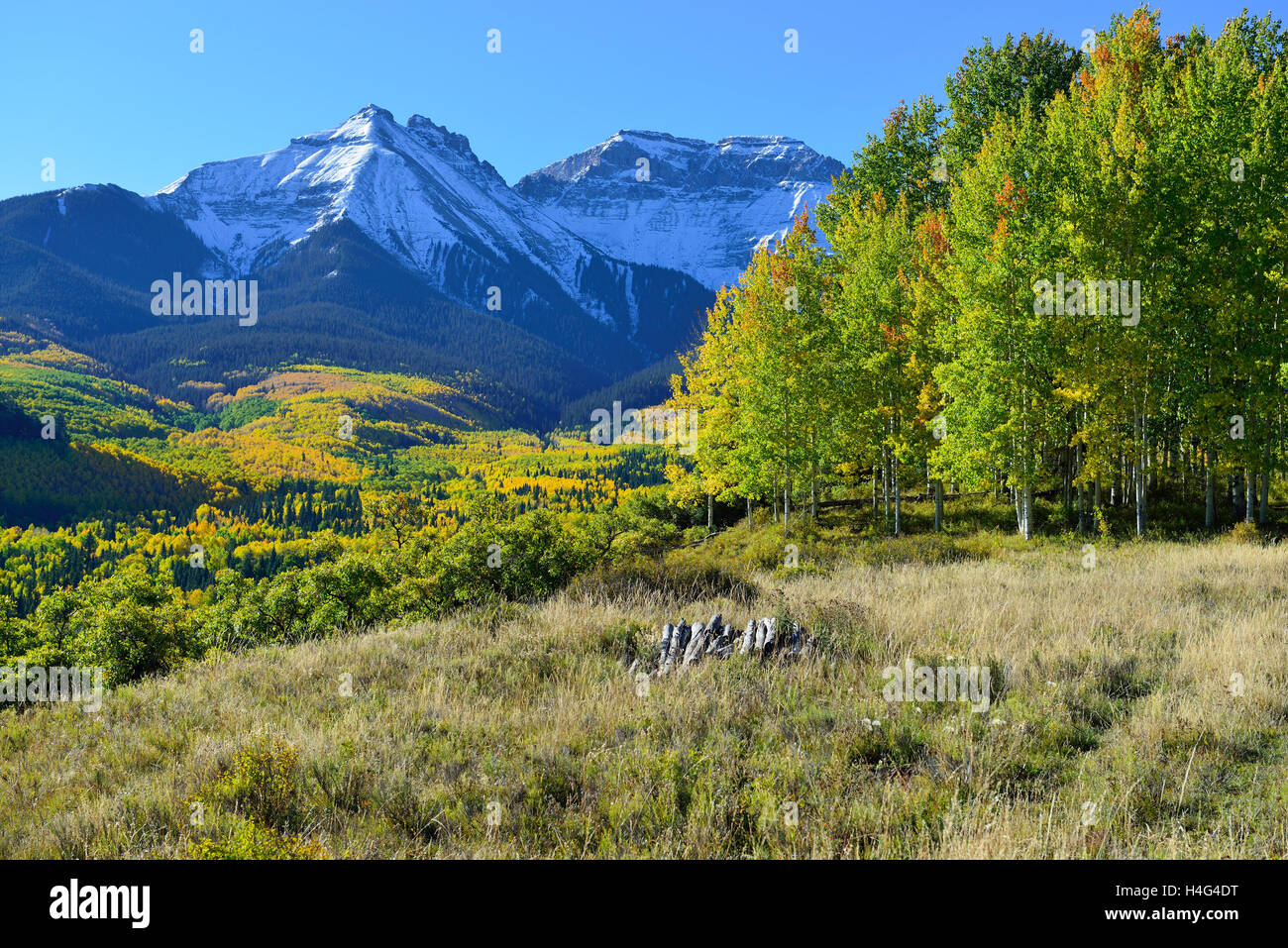 Alpine scenery of Colorado during foliage season Stock Photo - Alamy