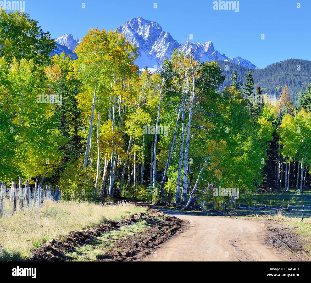 Alpine scenery of Colorado during foliage season Stock Photo - Alamy