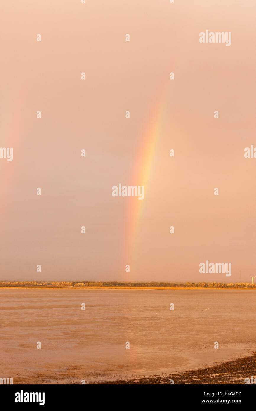 Early morning rainbow with tree hi-res stock photography and images - Alamy