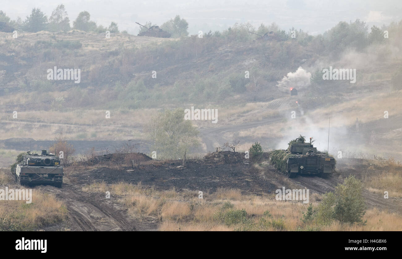 A combat tank Leopard 2 (l) stands next to a shooting armoured ...