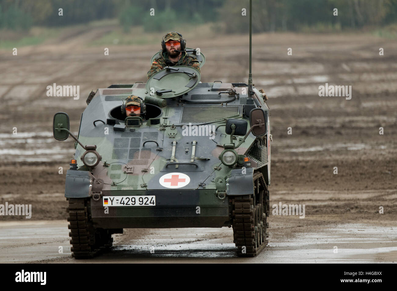Wiesel 1 hi-res stock photography and images - Alamy