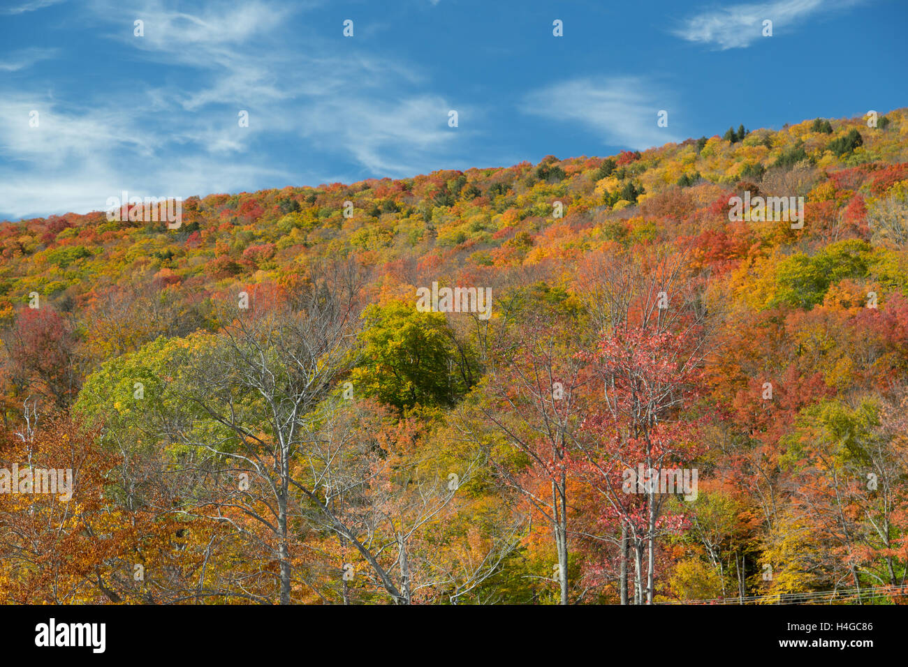 Lincoln, New Hampshire. 15th of October, 2016. The famous Indian Summer ...