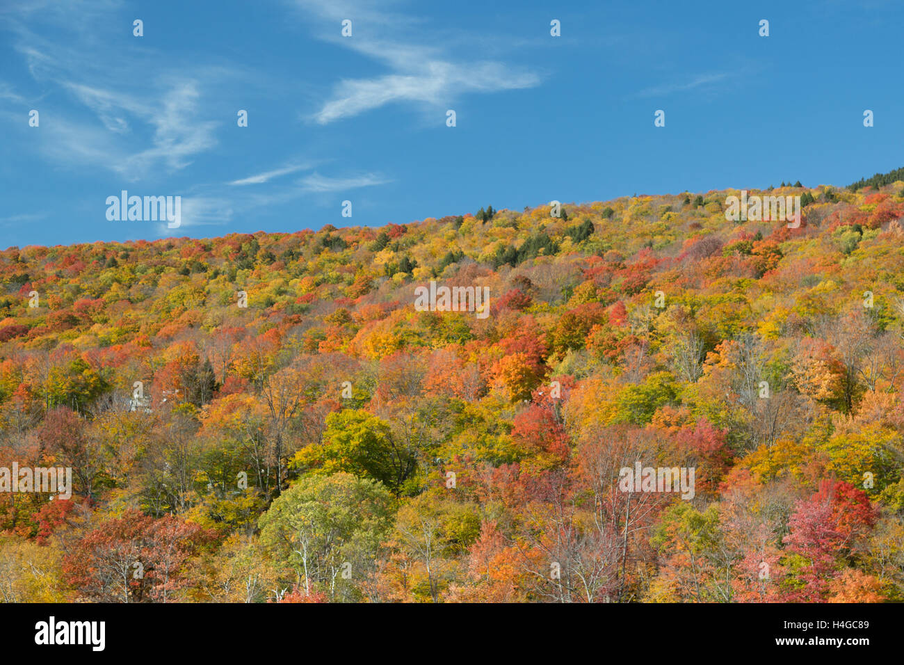 Lincoln, New Hampshire. 15th of October, 2016. The famous Indian Summer ...