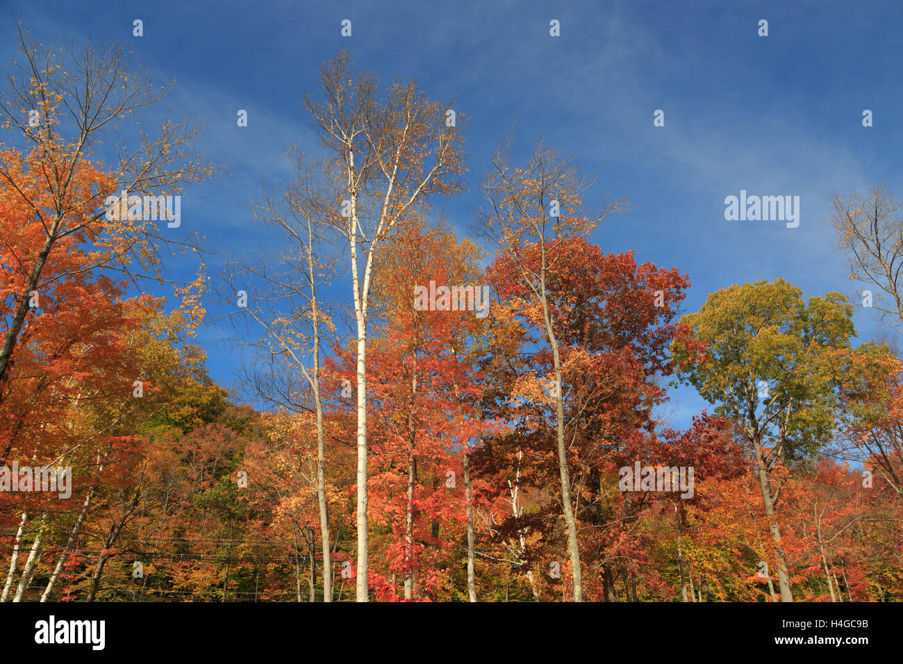 Lincoln, New Hampshire. 15th of October, 2016. The famous Indian Summer ...