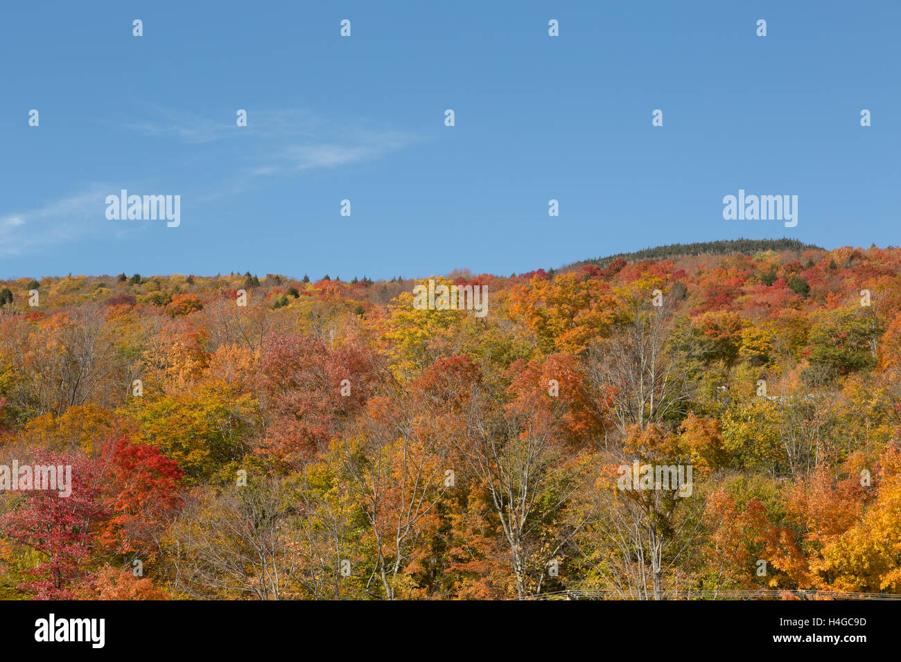 Lincoln, New Hampshire. 15th of October, 2016. The famous Indian Summer ...