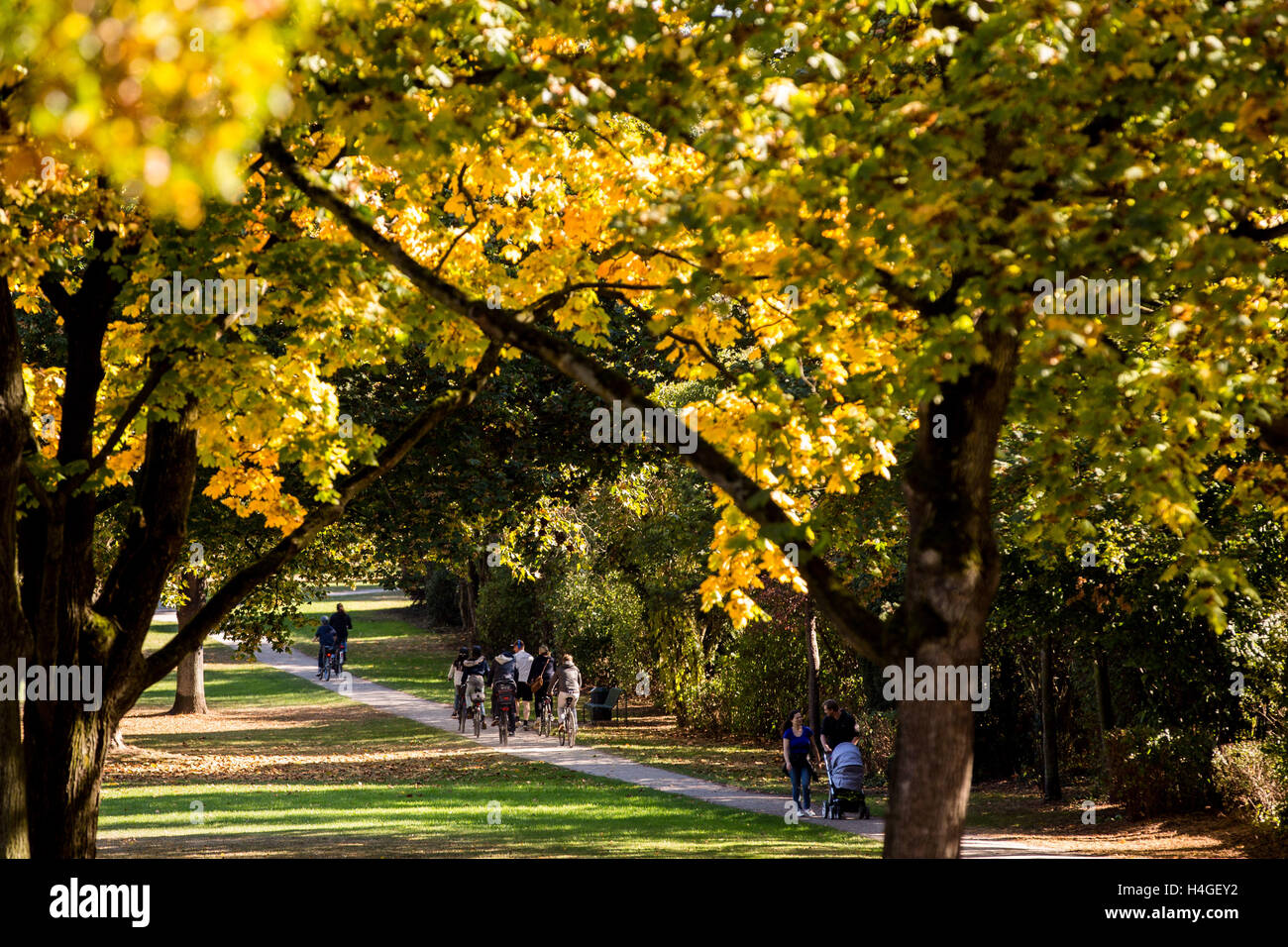 People walk through a park in Cologne, Germany, 16 October 2016. PHOTO ...