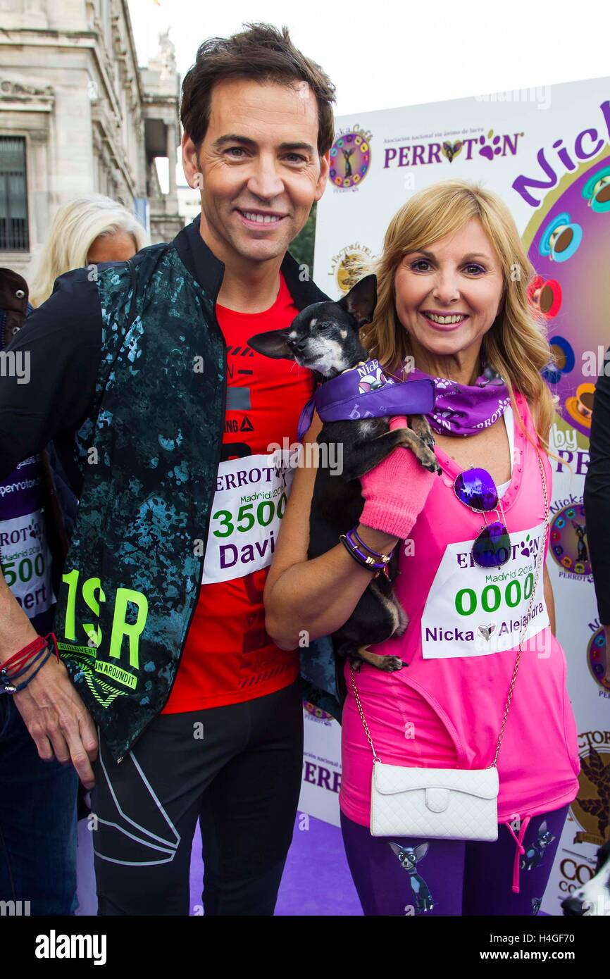 Madrid, Spain. 16th Oct, 2016. Swimmer David Meca during the race dog ...