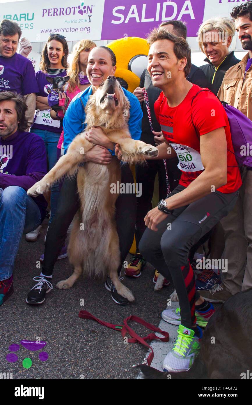 Madrid, Spain. 16th Oct, 2016. Swimmer David Meca during the race dog ...
