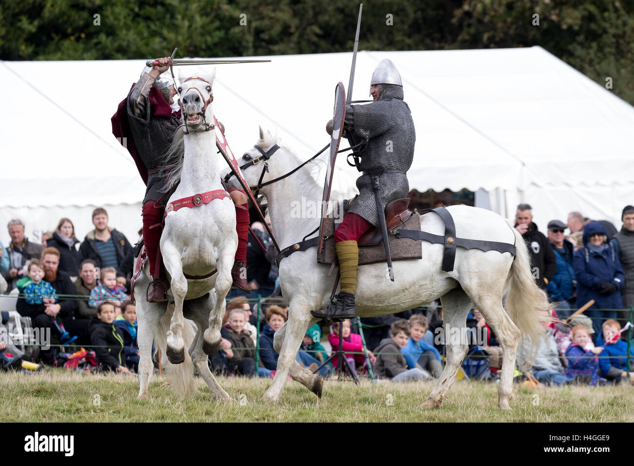 Anglo saxon king harold ii hi-res stock photography and images - Alamy