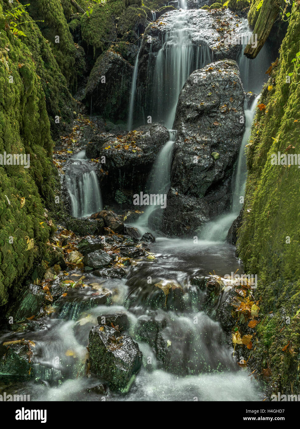 Image sequence depicting the beautiful River Teign waterfalls in and ...