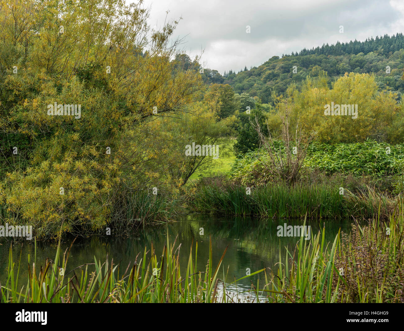 Tranquil scene depicting lake and surrounding countryside on an ...
