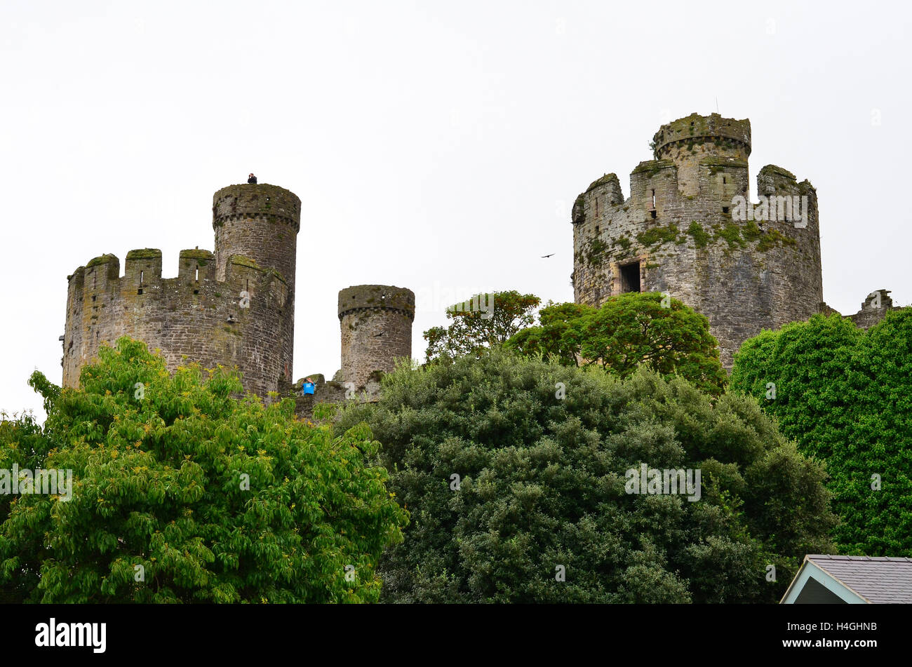External walls of conwy castle hi-res stock photography and images - Alamy