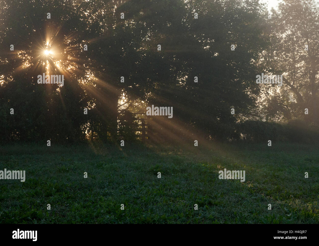 "Sunburst, Gate #2" Southern Illinois Stock Photo - Alamy