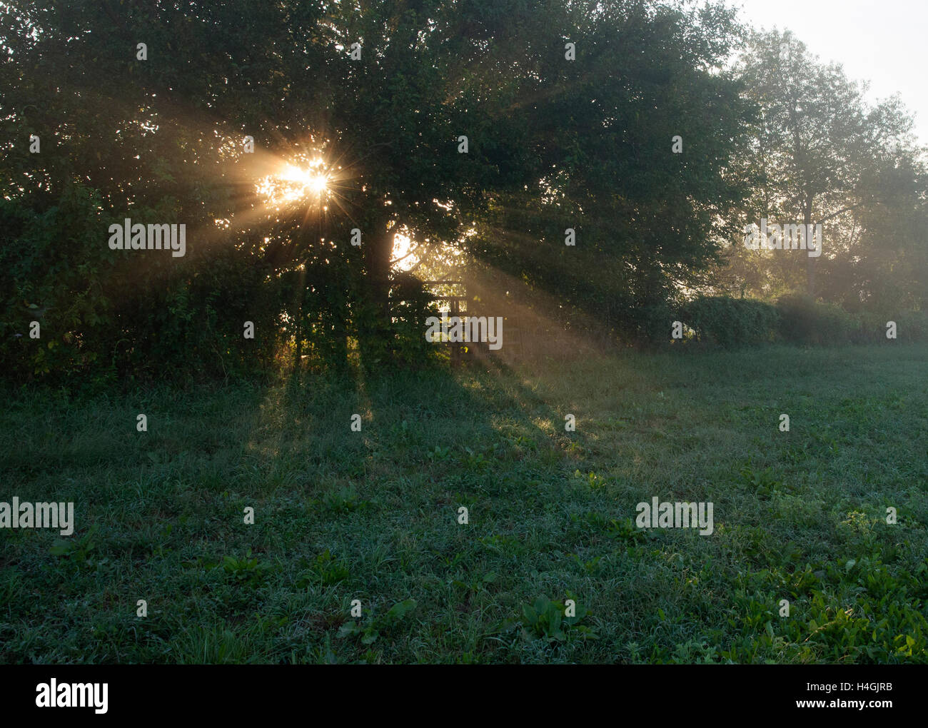 Sunburst gate hi-res stock photography and images - Alamy