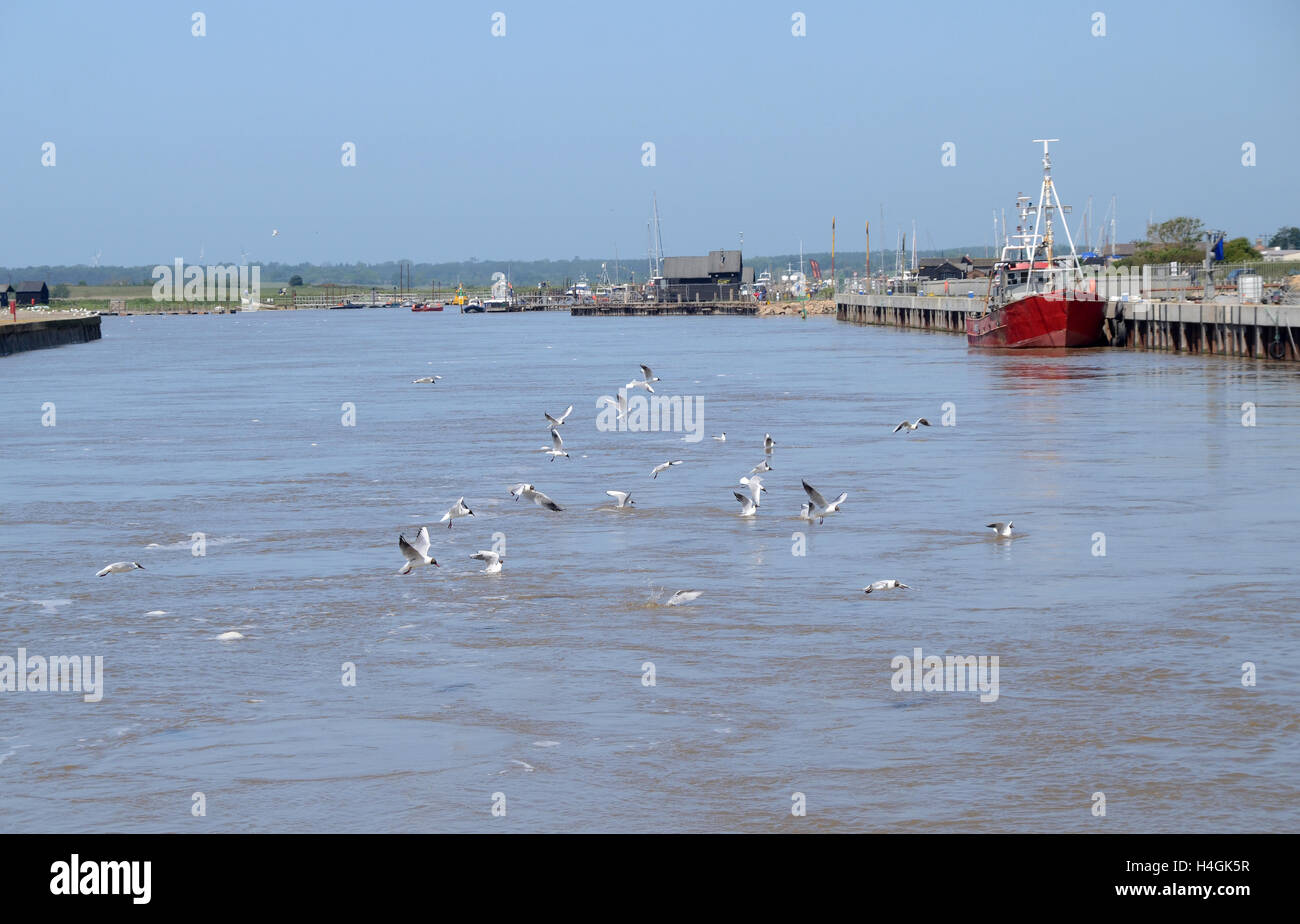 The harbour, Southwold, Suffolk Stock Photo - Alamy