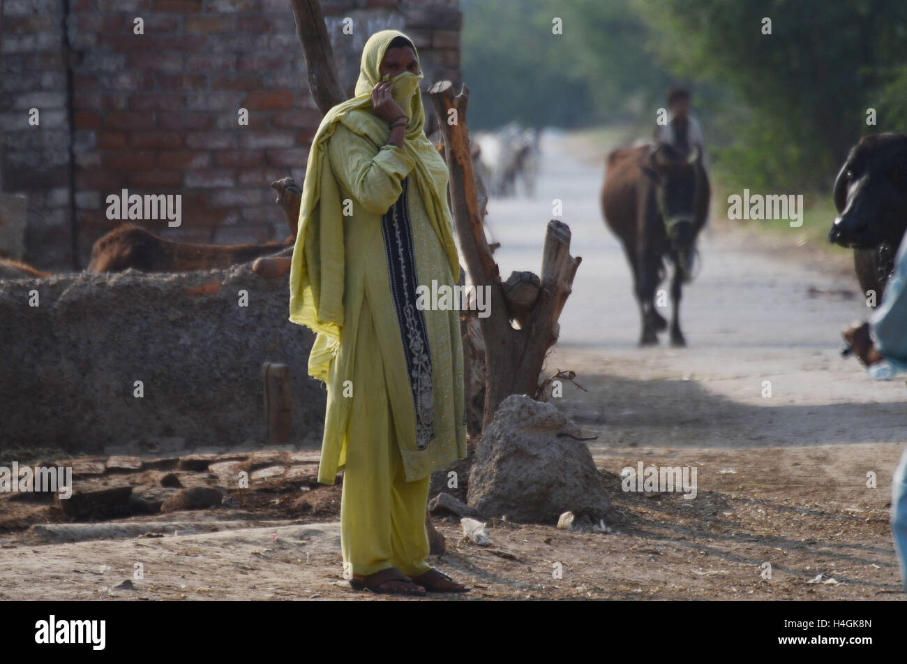 Lahore, Pakistan. 15th Oct, 2016. Pakistani villager woman working in ...