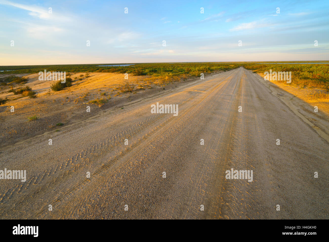 Sandy road in the sunset, Sakhalin Island, Russia Stock Photo - Alamy