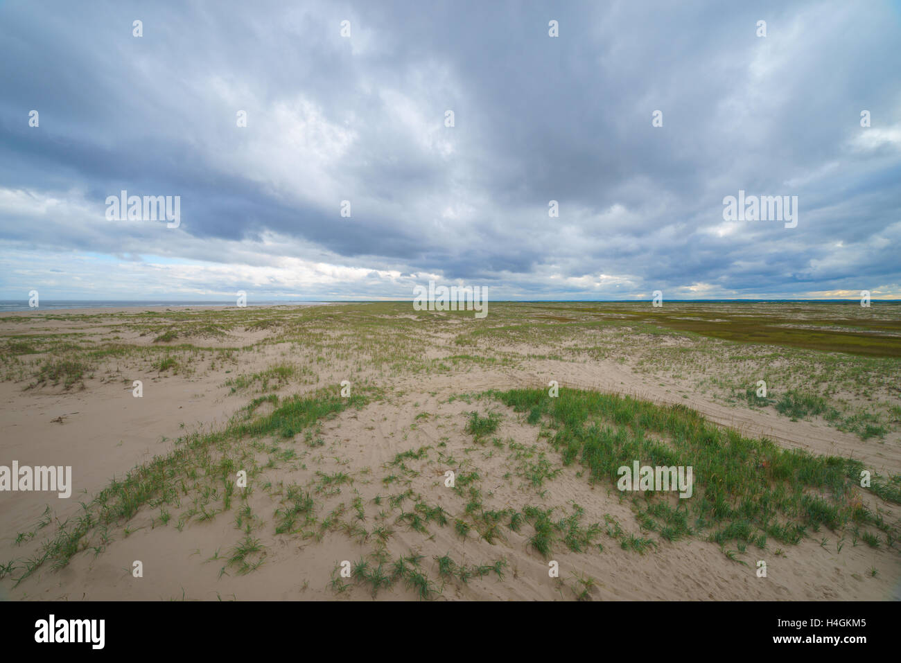 Sandy road in dismal weather, Sakhalin Island, Russia Stock Photo - Alamy