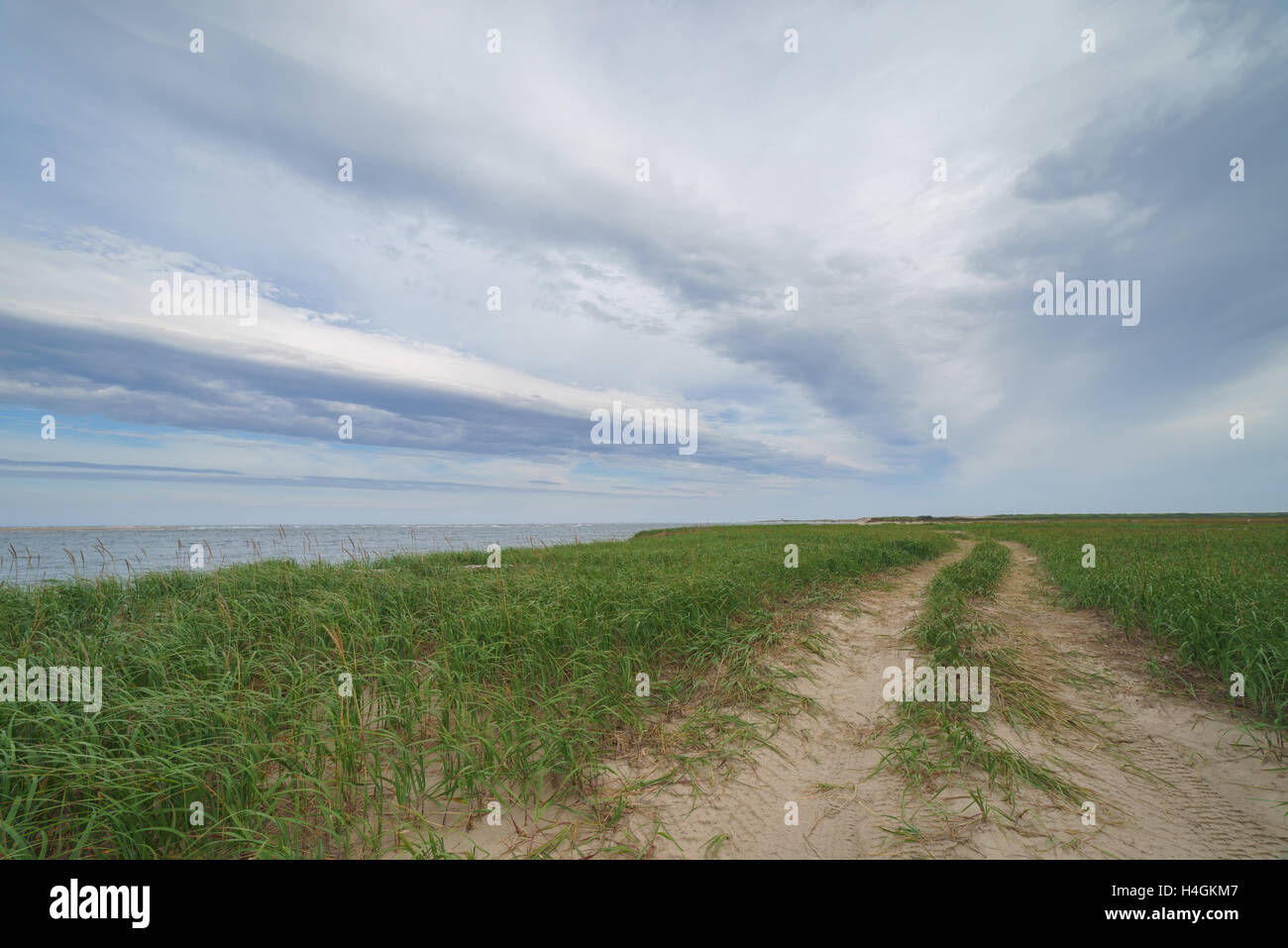 Sandy road in dismal weather, Sakhalin Island, Russia Stock Photo - Alamy