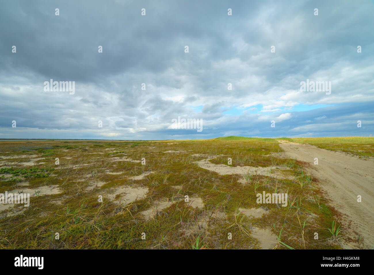 Sandy road in dismal weather, Sakhalin Island, Russia Stock Photo - Alamy