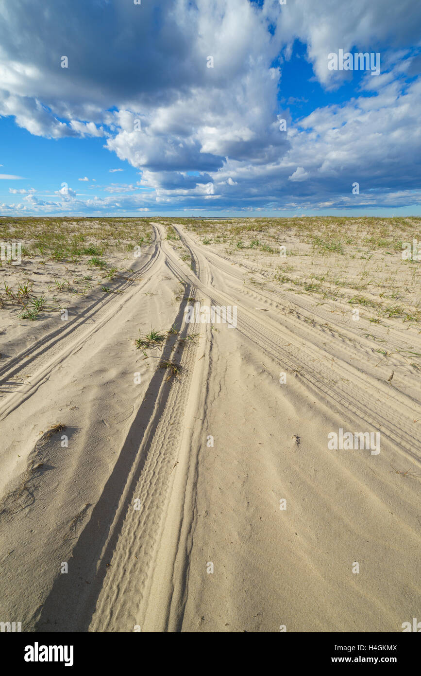 Sandy road in the sunset, Sakhalin Island, Russia Stock Photo - Alamy