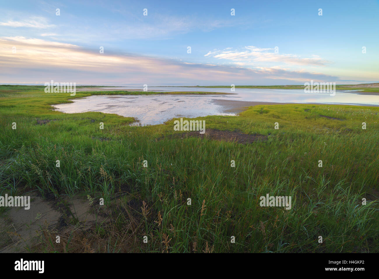 Bay Piltun in the north of Sakhalin Island and its surroundings ...