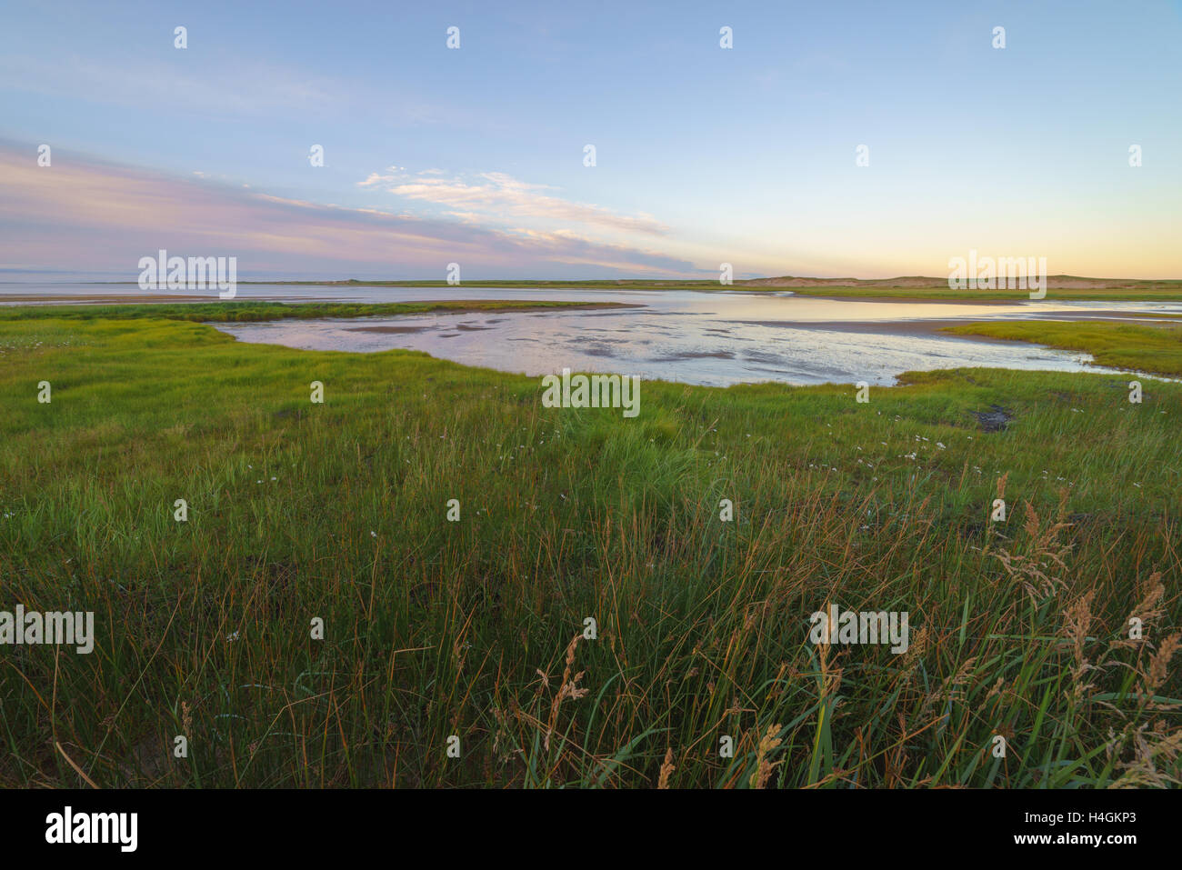 Bay Piltun in the north of Sakhalin Island and its surroundings ...