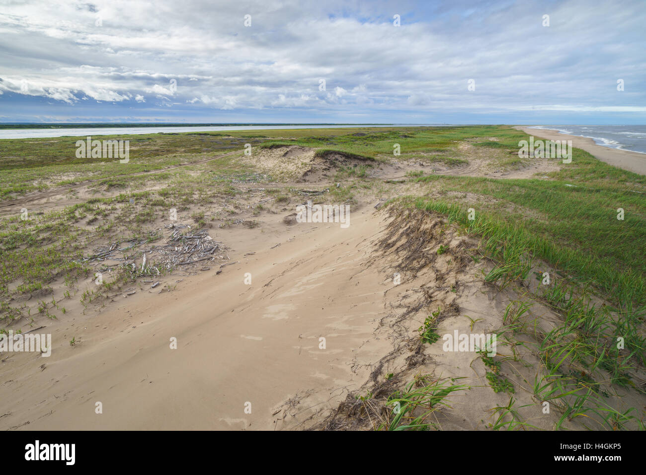 Bay Piltun in the north of Sakhalin Island and its surroundings ...
