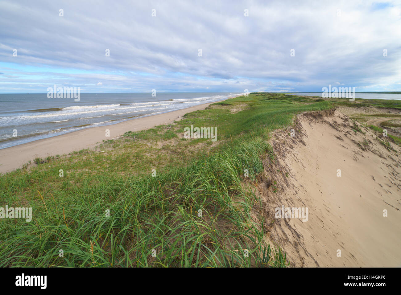 Bay Piltun in the north of Sakhalin Island and its surroundings ...