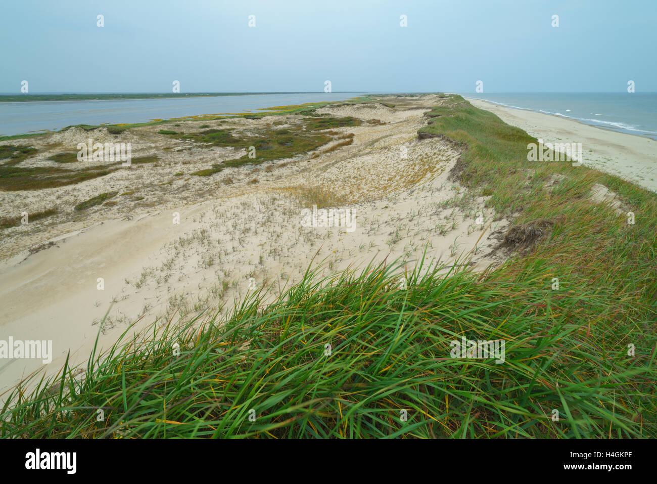 Bay Piltun in the north of Sakhalin Island and its surroundings ...