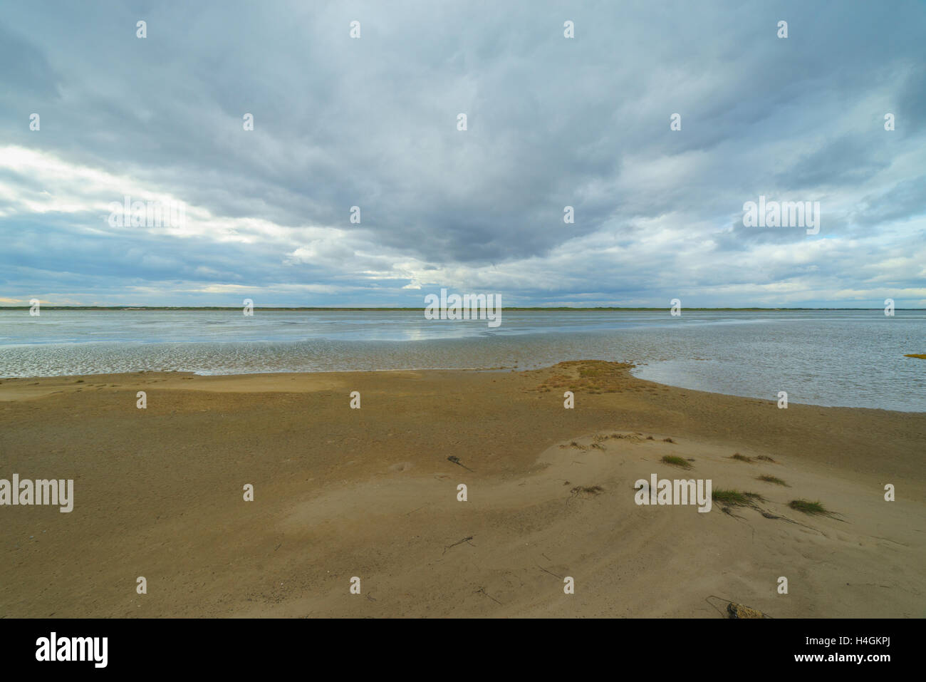 Bay Piltun in the north of Sakhalin Island and its surroundings ...