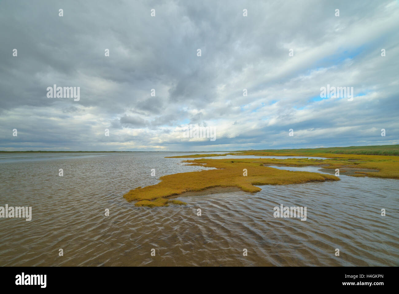 Bay Piltun in the north of Sakhalin Island and its surroundings ...