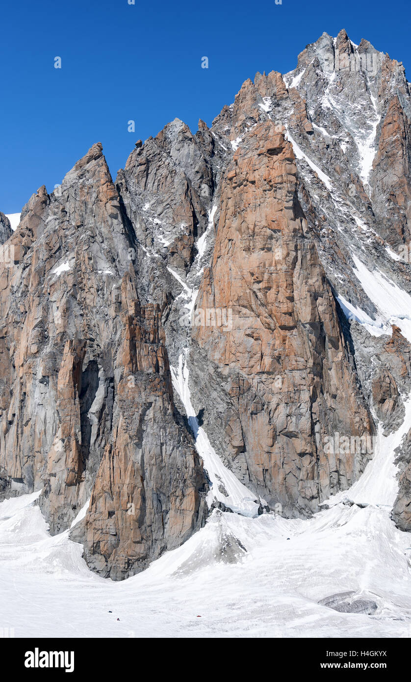 Capucin blanc hi-res stock photography and images - Alamy