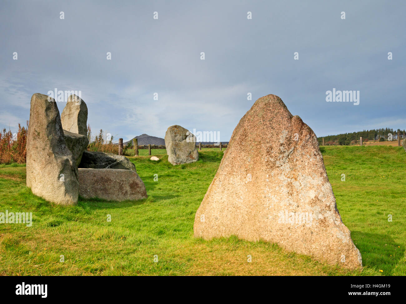A view of part of the Easter Aquhorthies Stone Circle near Inverurie ...