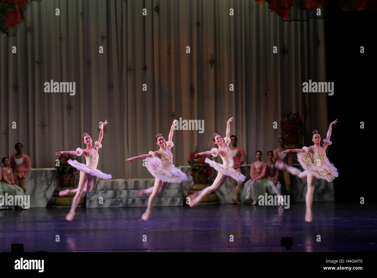 The sugar plum fairy nutcracker hi-res stock photography and images - Alamy