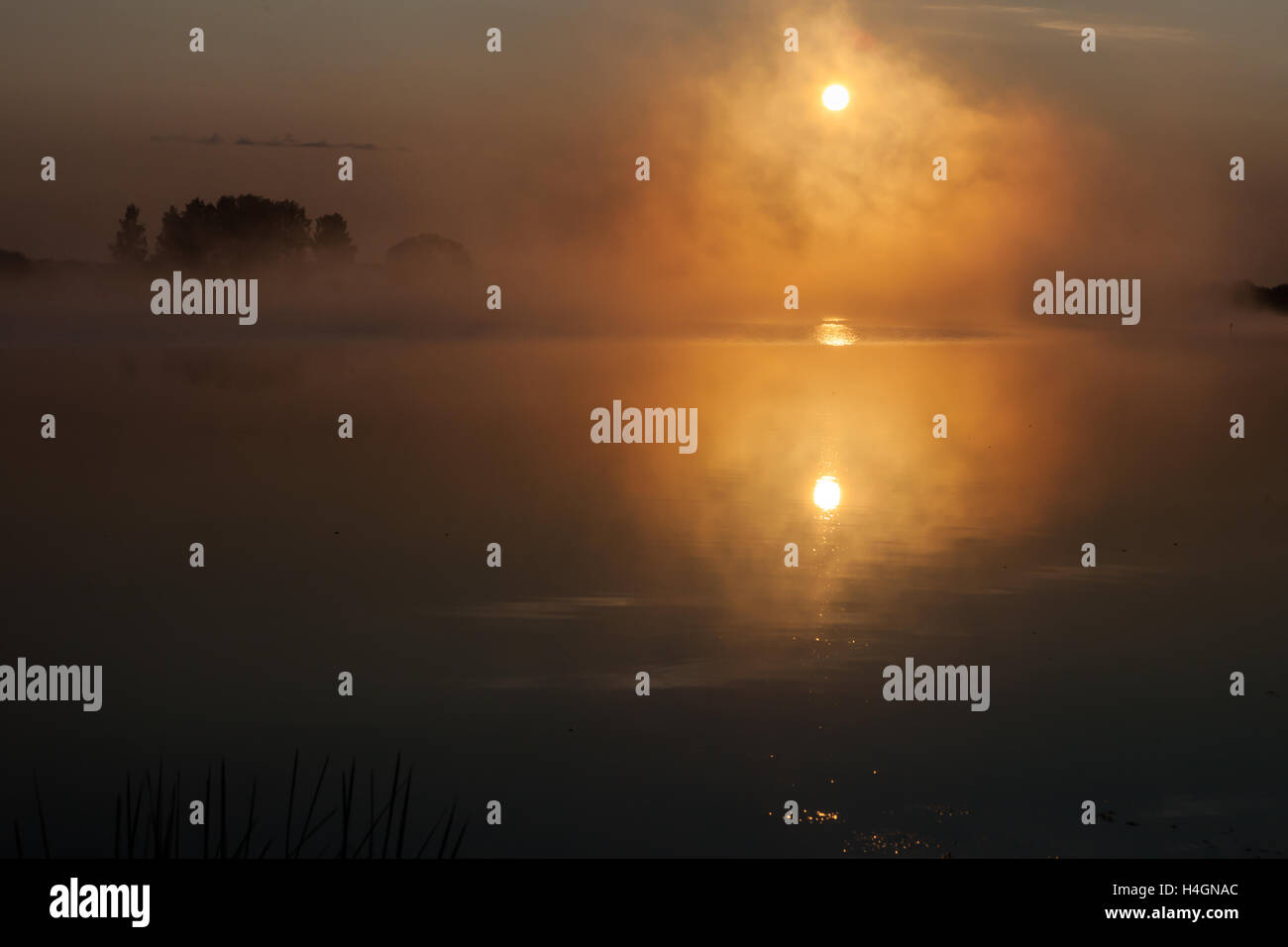 Dawn on the river in the Russian sun in the fog Stock Photo - Alamy