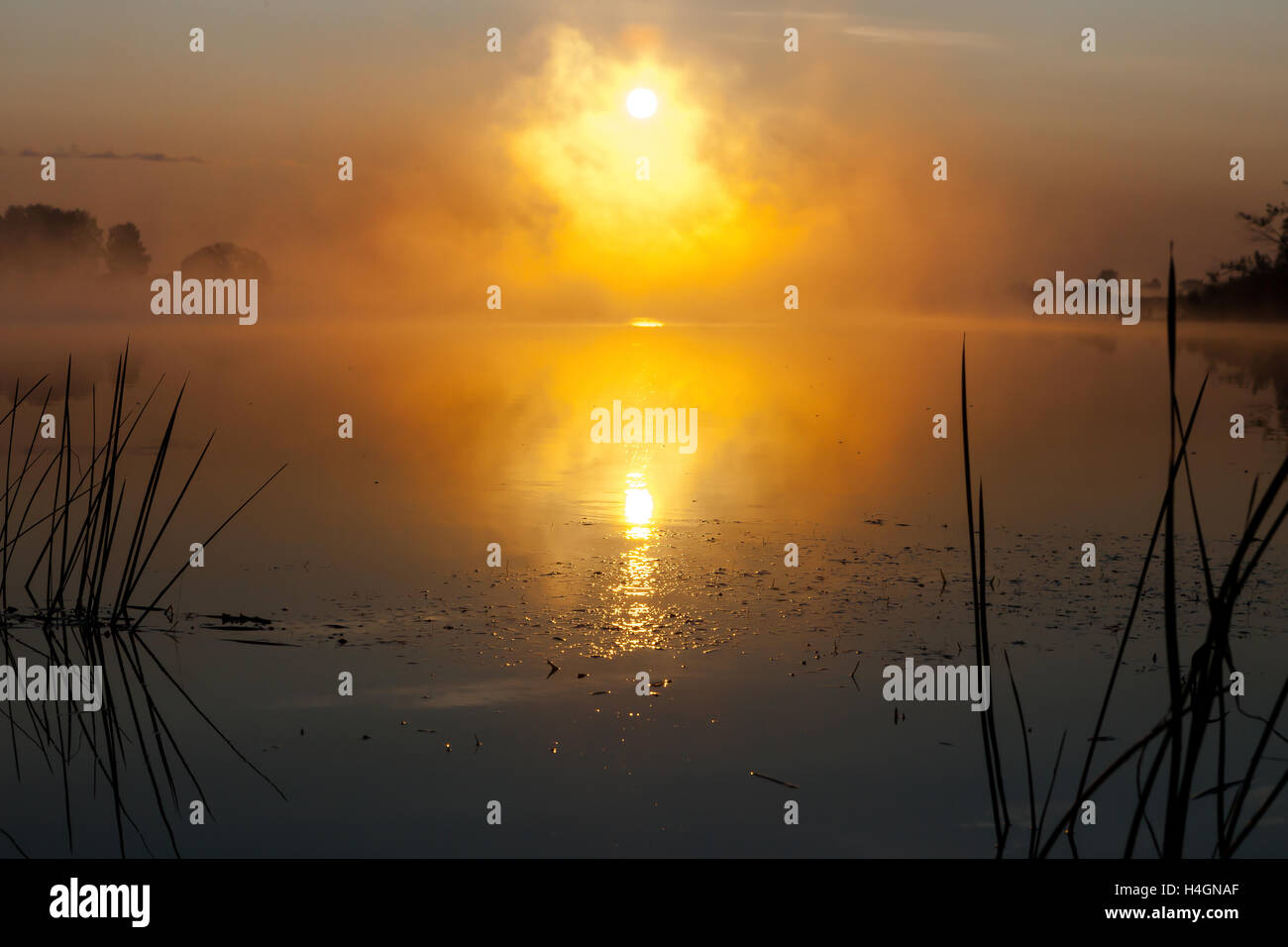 Dawn on the river in the Russian sun in the fog Stock Photo - Alamy