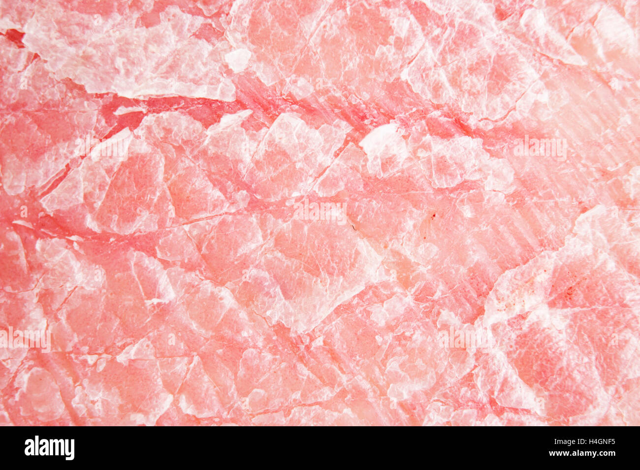 Scaly Skin Human High Resolution Stock Photography and Images - Alamy