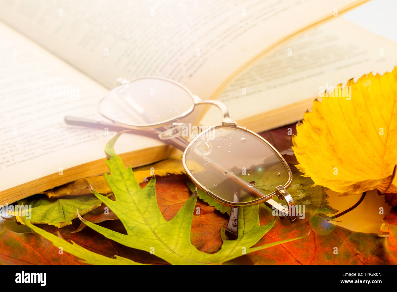 Open leaf hi-res stock photography and images - Alamy