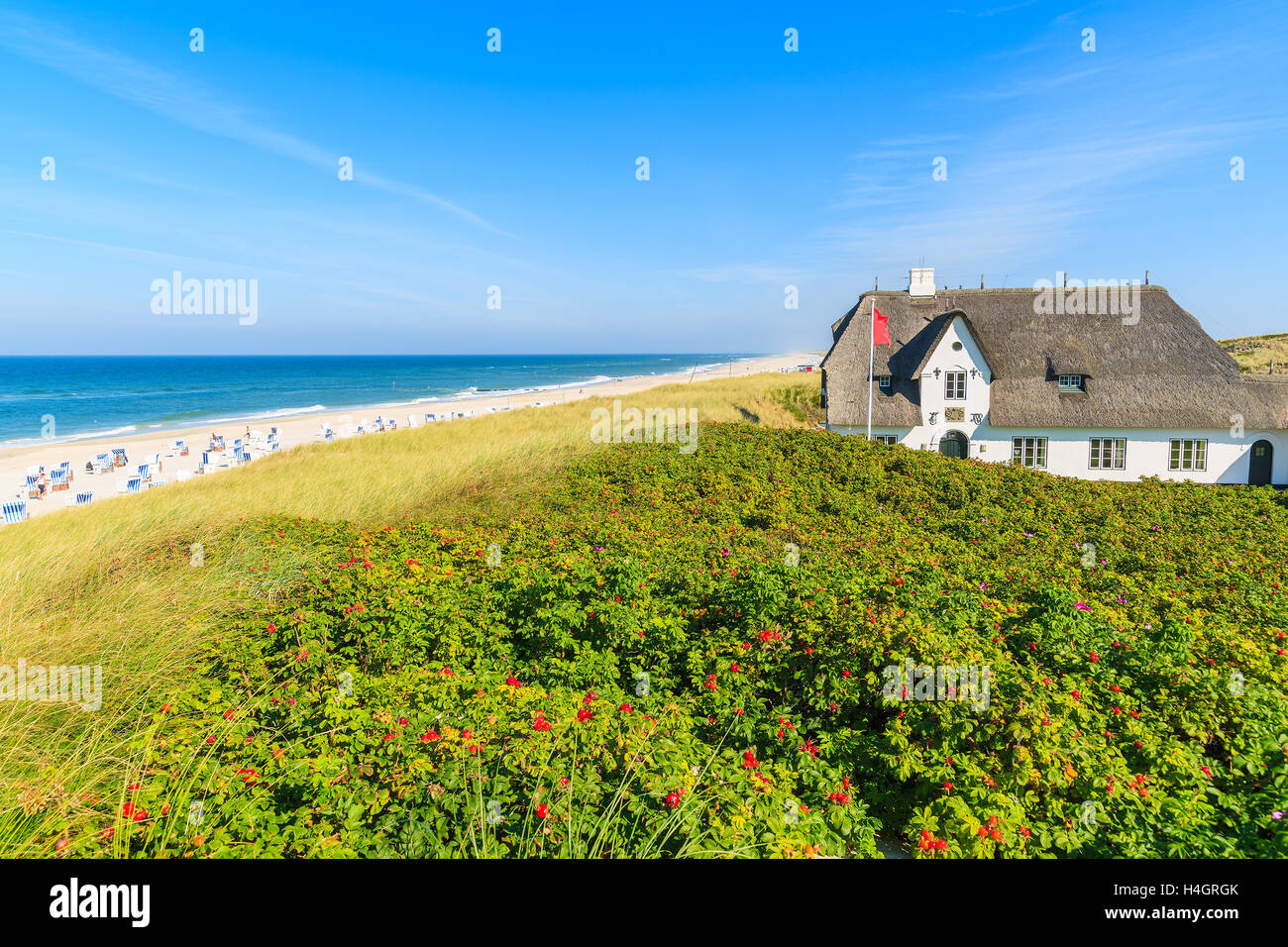 Typical Frisian house with straw roof on cliff at Kampen beach, Sylt ...