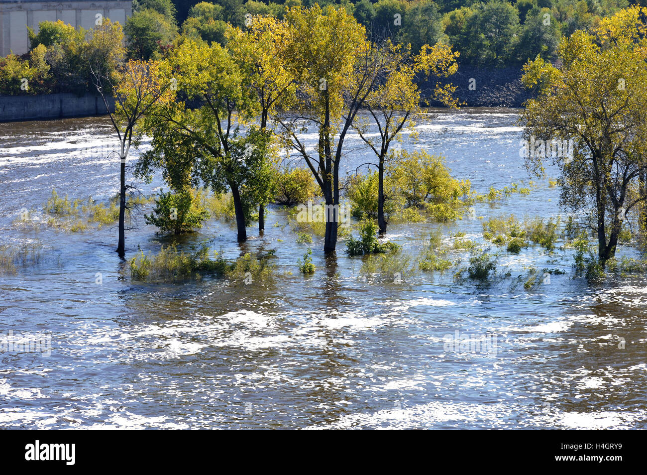 High Water Level in the River Stock Photo - Alamy