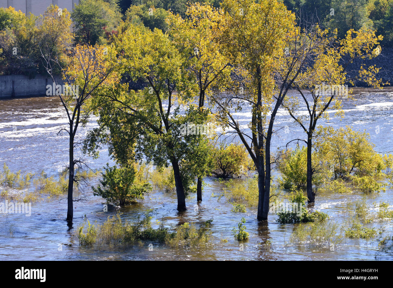 High Water Level in the River Stock Photo - Alamy