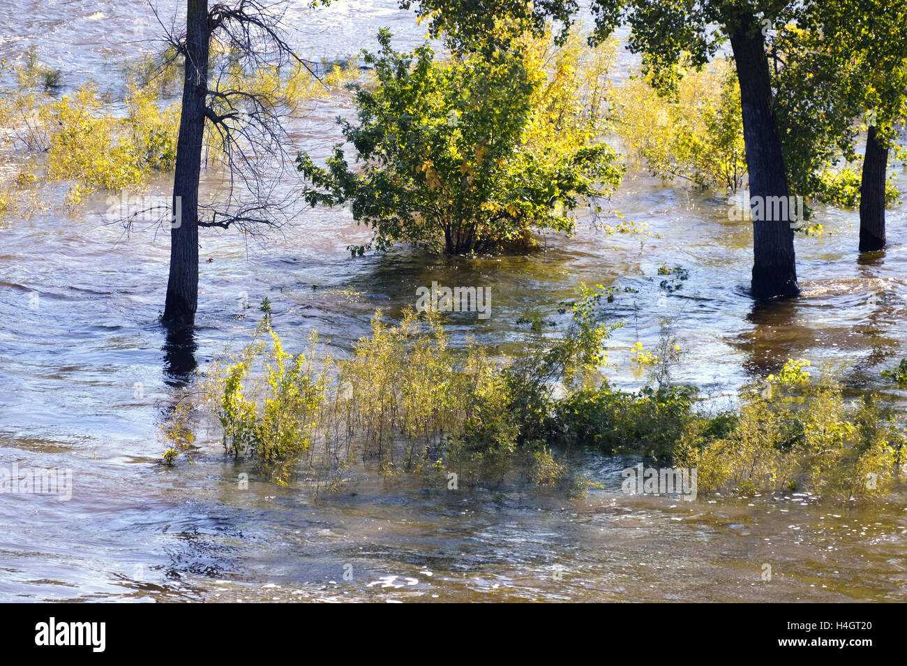 High Water Level in the River Stock Photo - Alamy