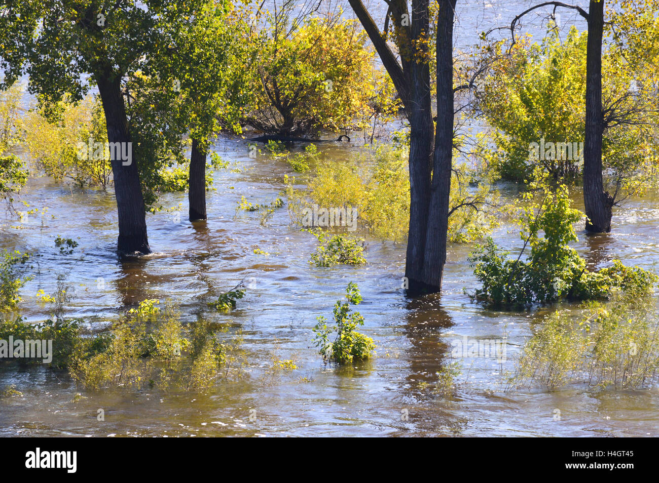 High Water Level in the River Stock Photo - Alamy