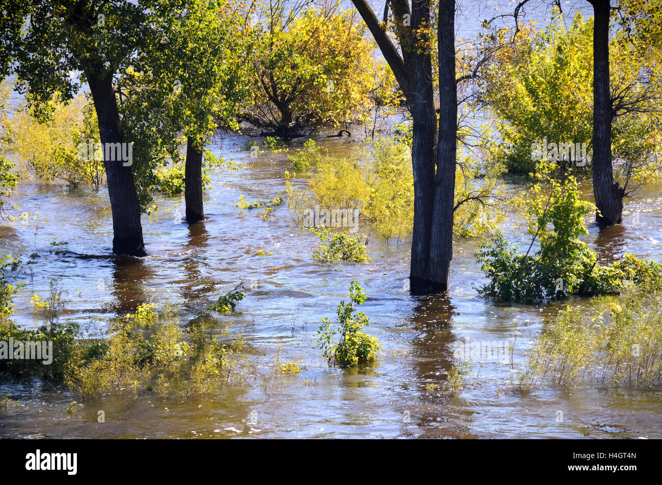 High Water Level in the River Stock Photo - Alamy